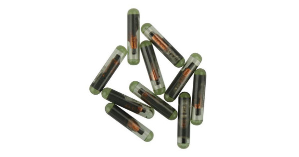 Transponder Chips